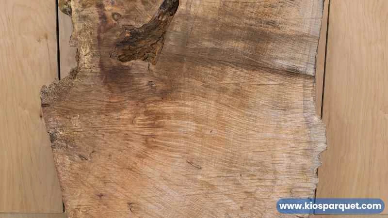 Kayu Maple: Jenis Kayu Import Terlaris Di Indonesia